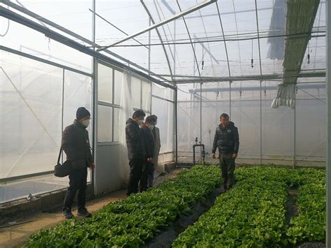 【先行区共建】生态所专家赴金山廊下镇开展技术合作交流科技服务新闻中心上海市农业科学院