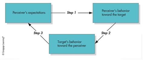 Social Psych Ch 4 Diagram Quizlet