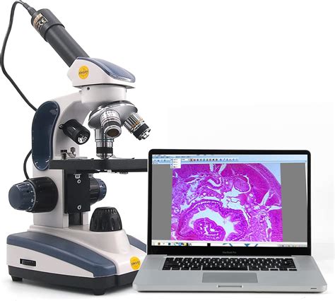 Swift Sw200dl Compound Monocular Microscope With India Ubuy