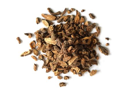 Dandelion Root Pure Lotus