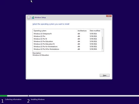 Windows 11 Dev Build 219961 Business Free Download Borrow And