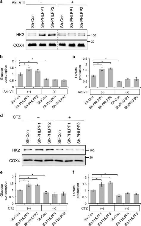 Inhibition Of Akt Activity Or Hk2 Mitochondrial Localization