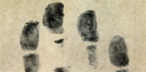 Research Into Holograms Could Improve Forensic Fingerprint Analysis