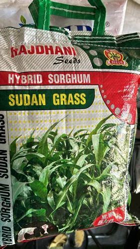 Natural Hybrid Sudan Grass Seed Packaging Size 5 Kg At Best Price In Fazilka