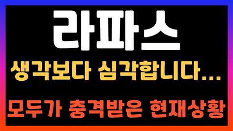라파스 주가전망 생각보다 심각합니다 비만치료제관련주 난리났습니다 Youtube
