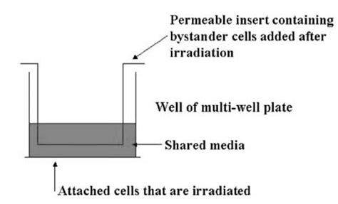 The Transwell Insert Coculture System [26] Download Scientific Diagram