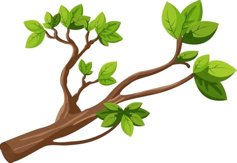 Tree With Leaves Clip Art