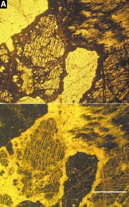 Aspects Of Luminescence Of Eucryptite With Uv Light Natural And Uv