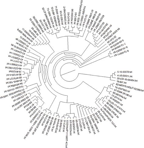 Redefining Genomic View Of Clostridioides Difficile Through Pangenome Analysis And