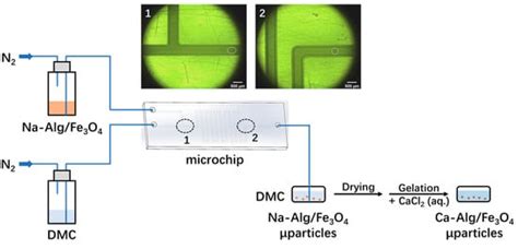 Nanomaterials Special Issue Advances In Stimuli Responsive