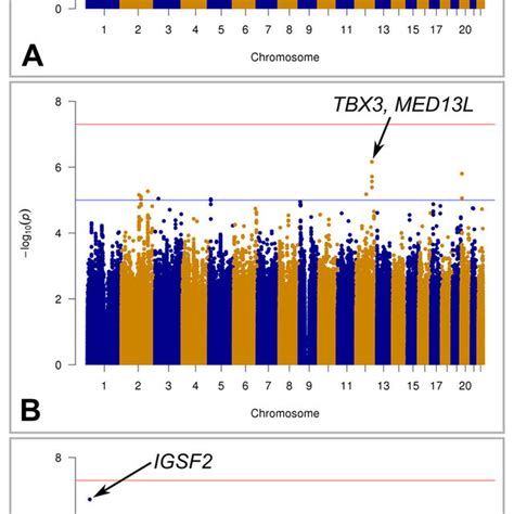 Manhattan Plot Of Snp By Acearb Interaction Term P Values For The A Download Scientific