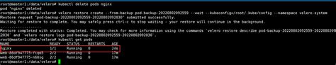 velero结合minio实现备份和恢复 punchlinux 博客园
