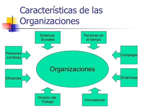 Caracteristicas De Las Organizaciones