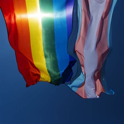 Rainbow Cultures Lgbtqia Multicultural Directory