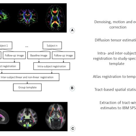 Preprocessing And Analysis Steps A Image Of Principal Diffusion Download Scientific