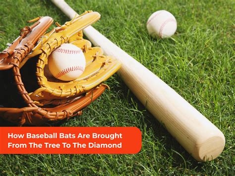 How Baseball Bats Are Brought From The Tree To The Diamond Flux