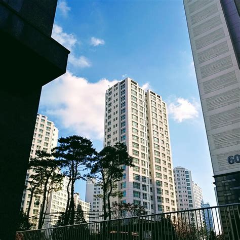 도내동 원흥도래울6단지의 실거래가 시세 매물 주변정보 아파트는 호갱노노