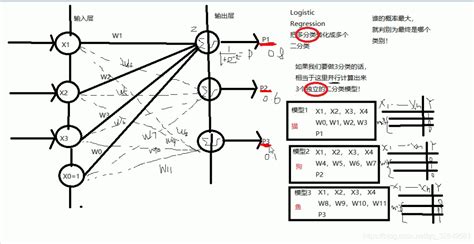 Ai06多分类、决策树分类、随机森林分类01逻辑回归多分类图示理解逻辑回归和softmax区别多分类 算法 决策树逻辑回归神经网络