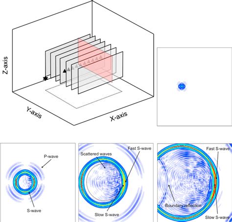 A Schematic View Of The Linear Receiver Array Within The Fd Model Download Scientific