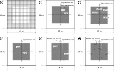 Procedure For Image Analysis A Alignment And Irradiation Align The
