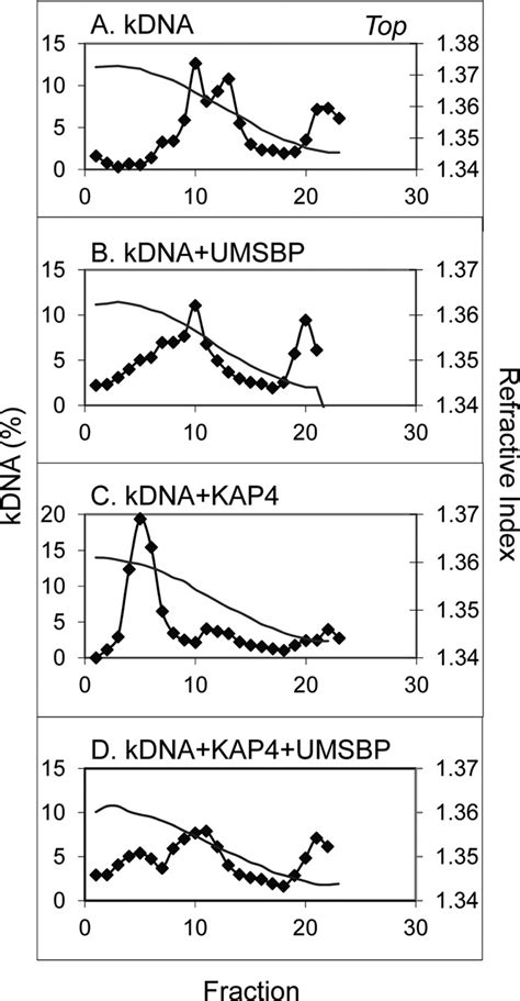 Sucrose Gradient Sedimentation Analysis Of Umsbp Mediated Download Scientific Diagram