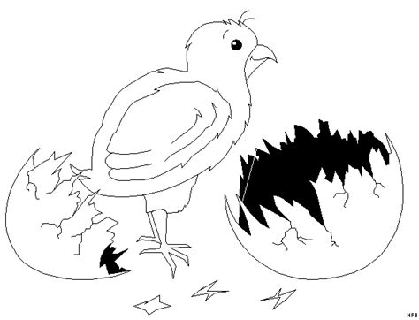 Kueken Schluepft Aus Dem Ei Ausmalbild Malvorlage Tiere