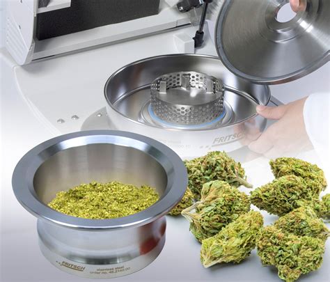 How To Choose The Right Machinery For Cannabis Processing Cannabis