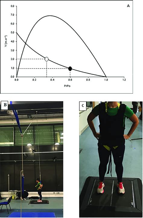 A Force Velocity Relationship Illustrating That A Higher Body Weight Download Scientific