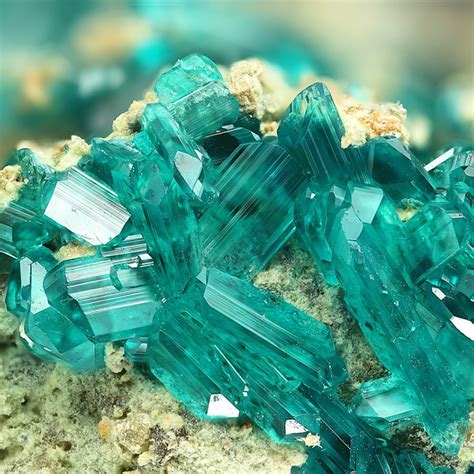 Caledonite Encyclopedia