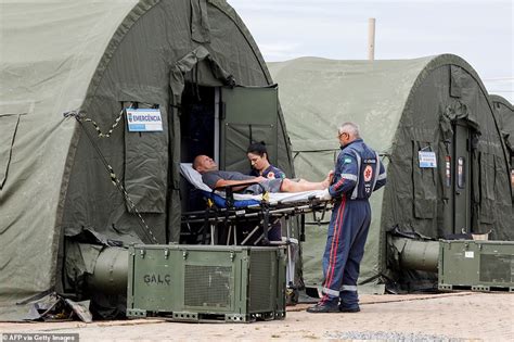 Dengue Fever Alert As The Tropical Disease Spreads Across Europe