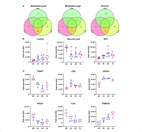 Common Differential Metabolites And Proteins The Peak Area Was Used