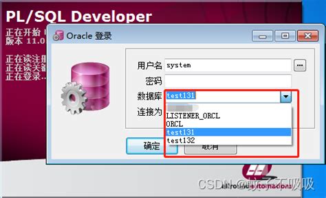 Oracle Instant Client PLSQL 部署终端PC远程连接数据库服务器简易操作 CSDN博客