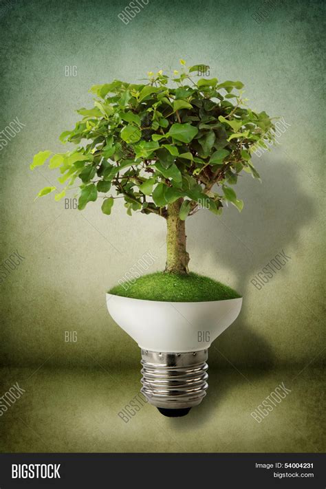 Green Tree Growing Out Image Photo Free Trial Bigstock