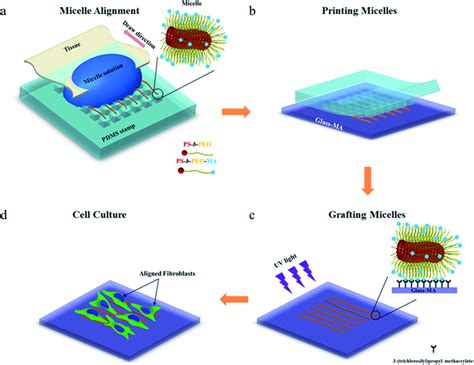 Schematic Representation Of The Micro Contact Printing μcp Technique