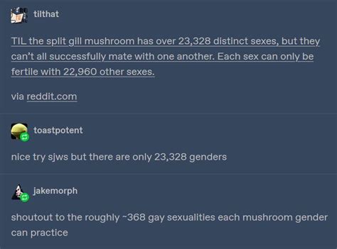 Imagine How Many Genders The Full Gill Mushroom 😳😳🦑🐫 Rtumblr