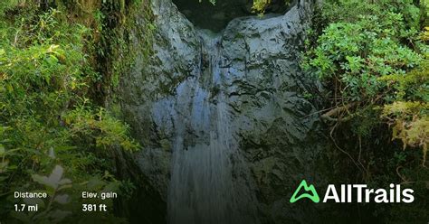 Glentui Loop Track Canterbury New Zealand 153 Reviews Map Alltrails