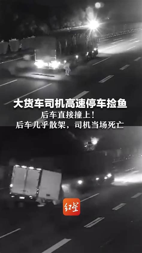 大货车司机高速停车捡鱼后车直接撞上后车几乎散架司机当场死亡 凤凰网视频 凤凰网