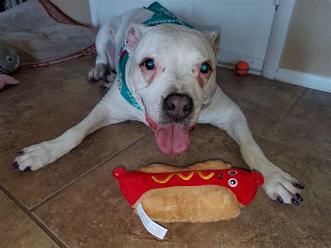 Since Nilla Got So Much Love Heres Her Happy Face Rvelvethippos