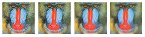 Fundamentals Of Image Processing In Metal Metal By Example