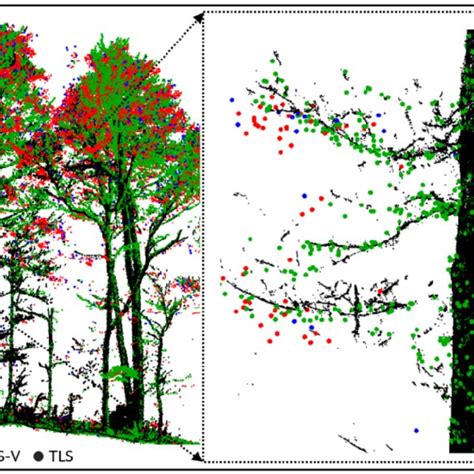 Co Registration Of The Als Uls R Uls V And Tls Point Clouds With A Download Scientific