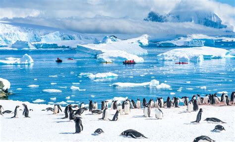 To Ensure A Successful Expedition Trip Thorough Research And Advanced