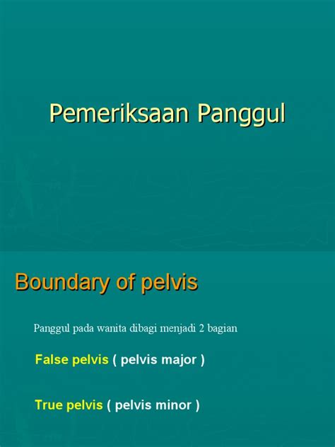 Pemeriksaan Panggul Pdf