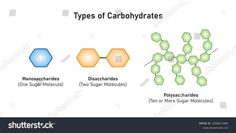 Carbohydrates Classification Chart Over 91 Royalty Free Licensable