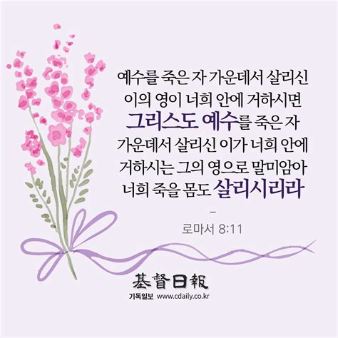 기독일보 매일 성구 예수를 죽은 자 가운데서 살리신 이의 영이 너희 안에 거하시면 그리스도 예수를