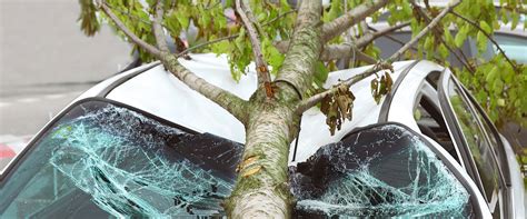 What Happens If Your Property Fails The Ber Assessment