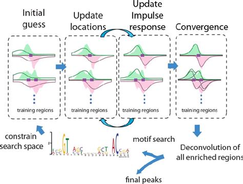 Blind Deconvolution Analysis Of Chip Seq Data This Schematic Download Scientific Diagram