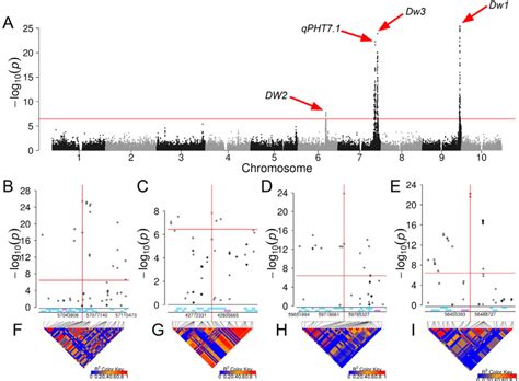 Genome‐wide Association Study Gwas Of Sorghum Plant Height In A