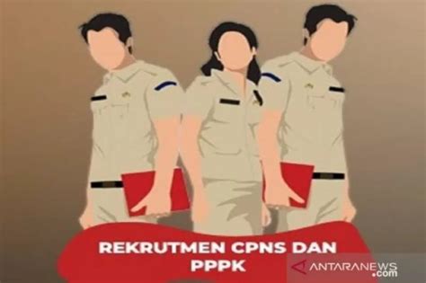 Seleksi CPNS Dari Sekolah Kedinasan Dimulai Bulan Ini MerahPutih