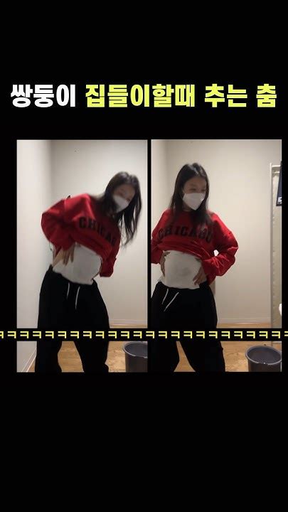 쌍둥이 집들이 임산부브이로그 임신 Youtube