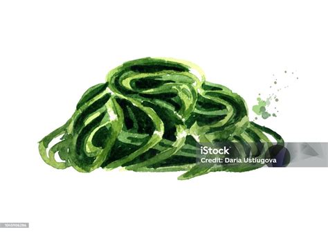 海帶海帶海藻超級食品水彩手繪插圖 在白色背景下隔離向量圖形及更多亞洲圖片 亞洲 健保和醫療 健康飲食 Istock